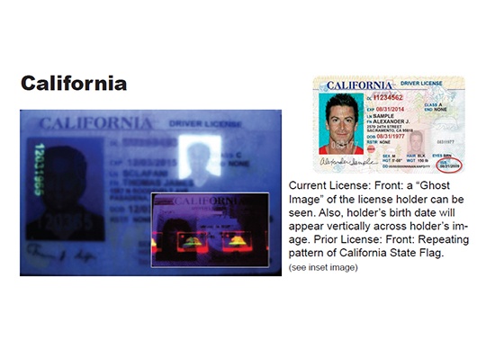 Driver License Guide | Visual Reference for UV Security Features